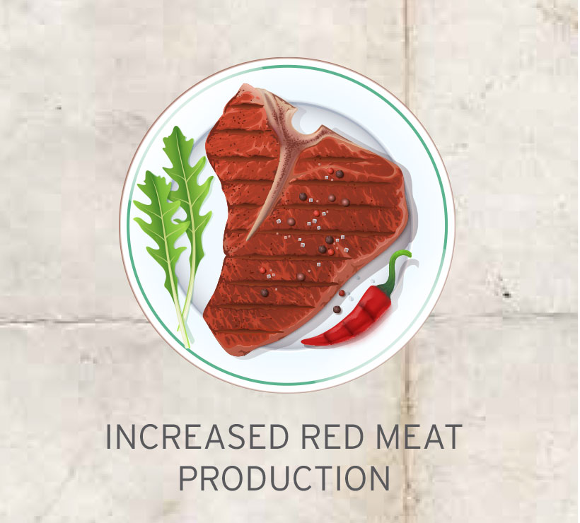 BEEF increased-red-meat-production - WestGen